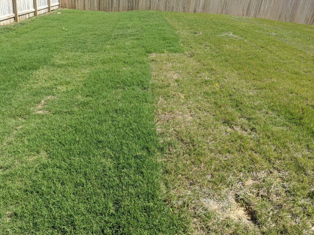 All Sod is NOT Created Equal - Southern Lawn and Pest, Inc.